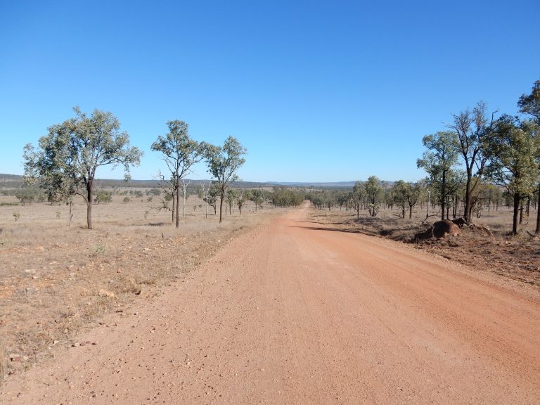 David Saylor - Homepage Photo[4] - Saylor Legal